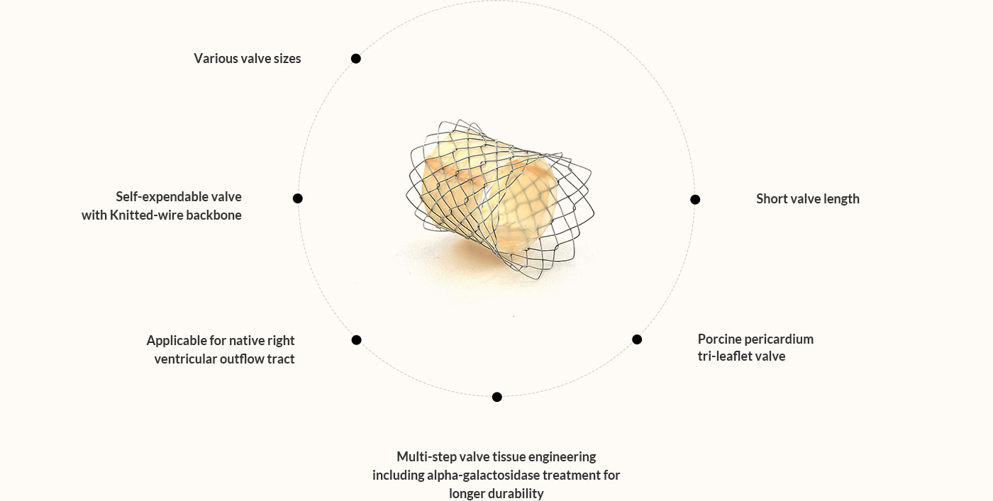ABOUT PULSTA™ - PULSTA